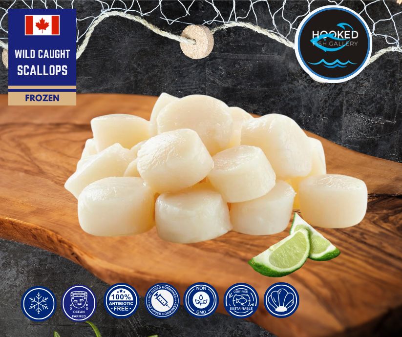 Frozen - Canadian Wild Caught Scallop 500g | Farmers Market HK